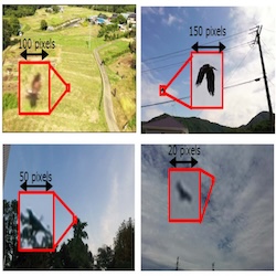 MVA2023 Small Object Detection Challenge for Spotting Birds: Dataset, Methods, and Results | 広島 ...